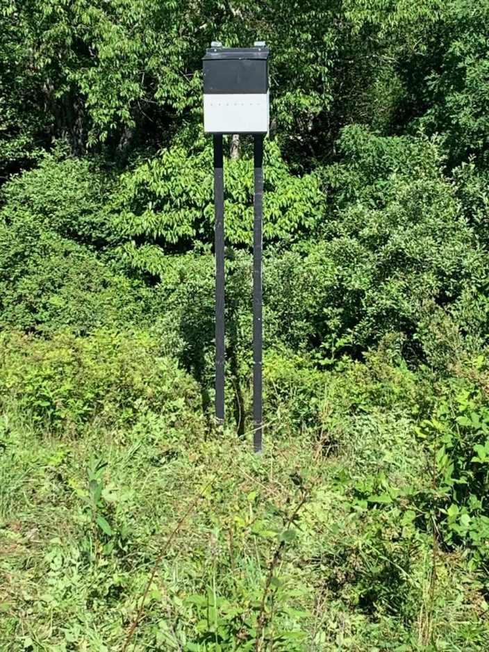 Bat boxes coming to Waynesburg - Observer-Reporter